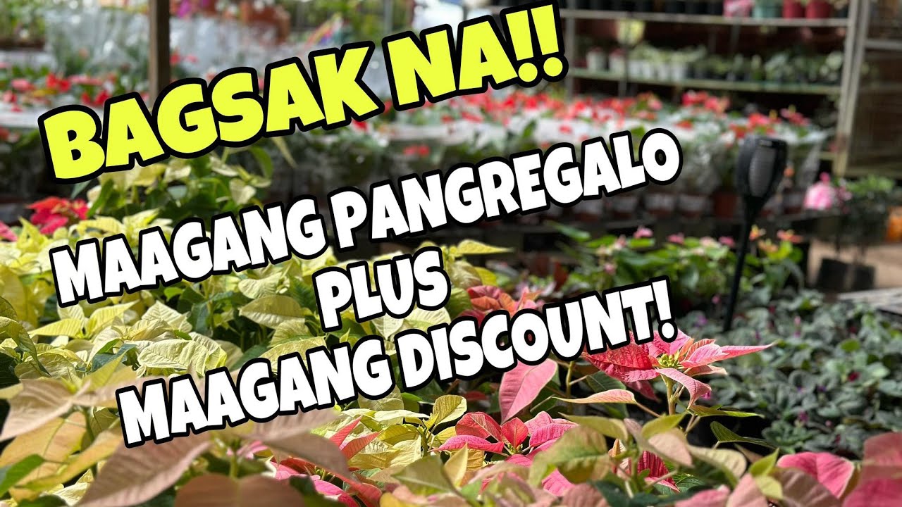 MAAGANG PANGREGALO PLUS MAAGANG DISCOUNT SA LAHAT! - YouTube