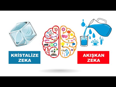 KRİSTALİZE ZEKA & AKIŞKAN ZEKA - TYT SORULARIYLA İLİŞKİSİ NE?