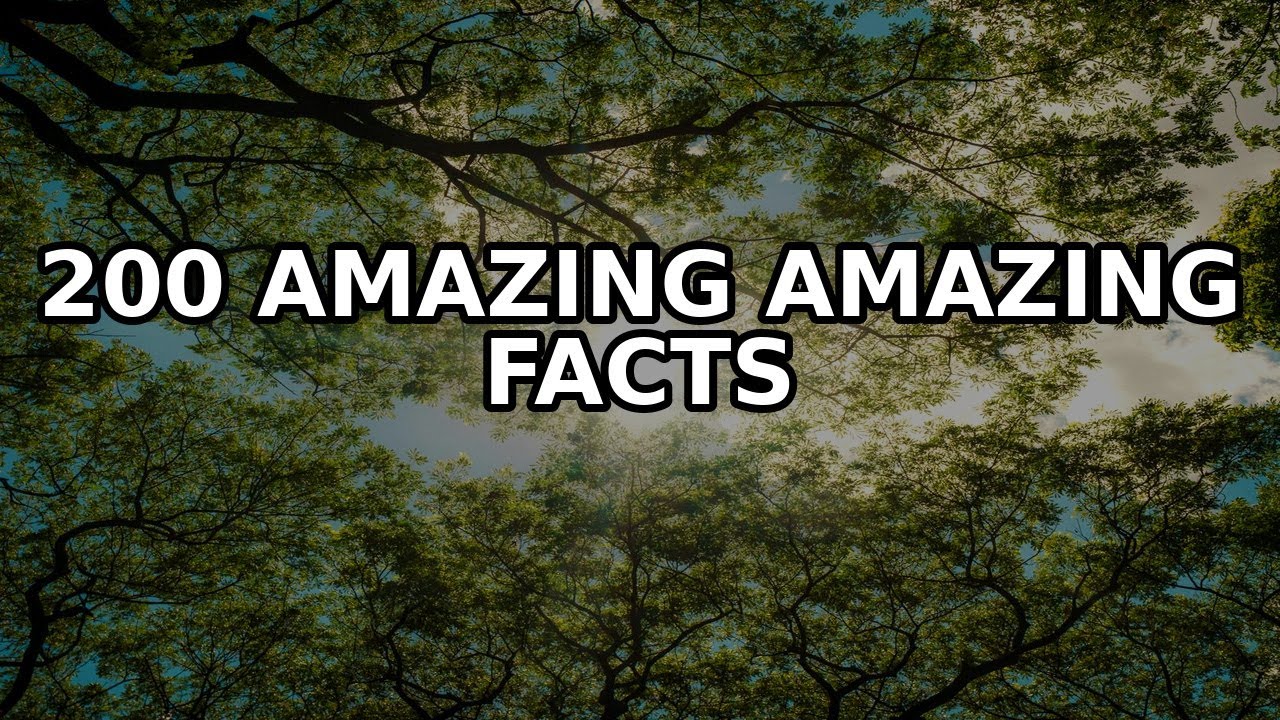 200 Amazing Facts About Brief stunning moments from the wild - YouTube