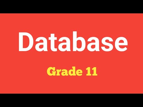 Grade 11 ICT: Unit 3.1 - Data Management Approaches | Database vs. File ...