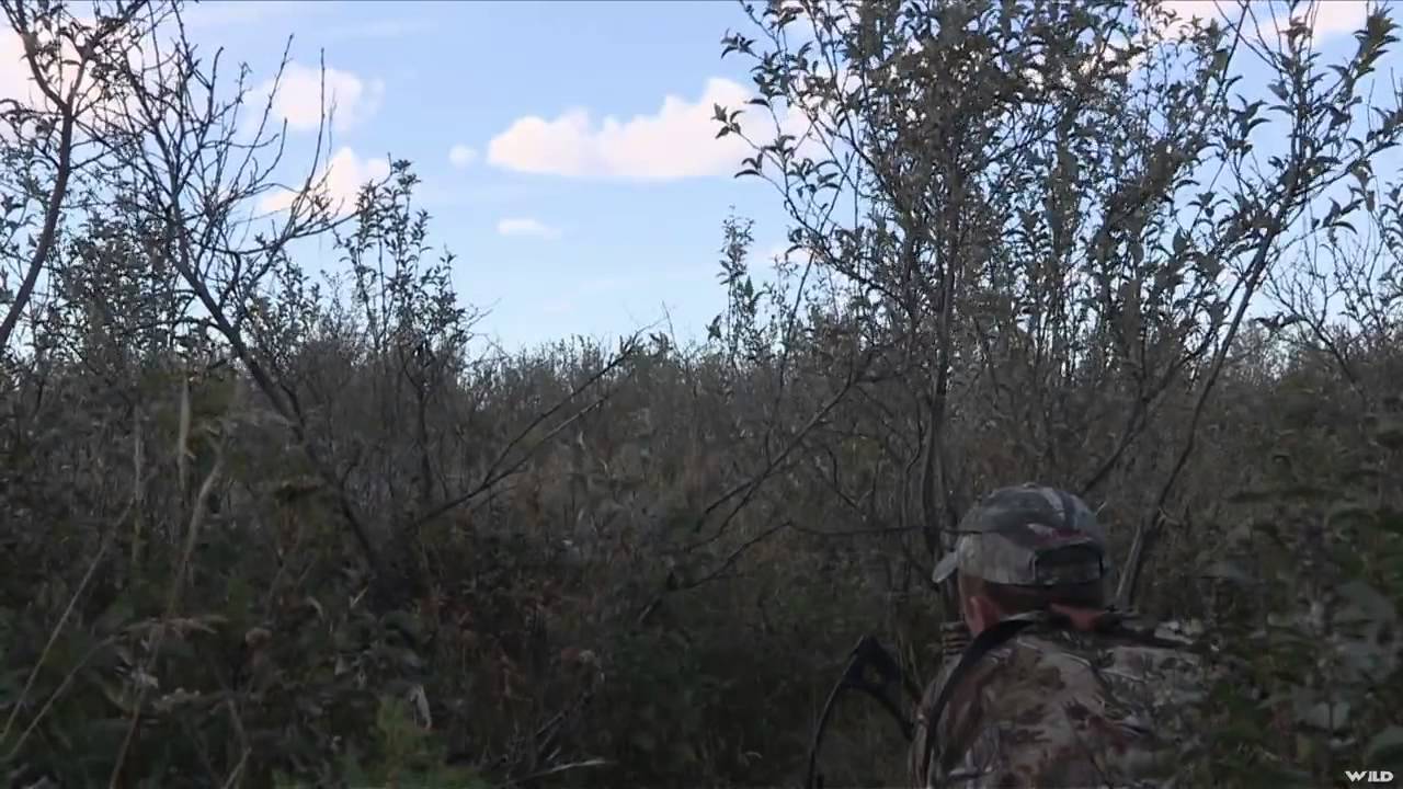 Live 2 Hunt - The King & I Part 2 - YouTube