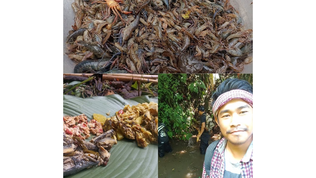 Team Yongrep Shrimp🦐 Hunter's 😆 - YouTube