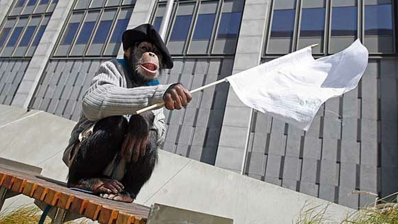 Starmer Silent on Surrender Monkey Numbers! - YouTube