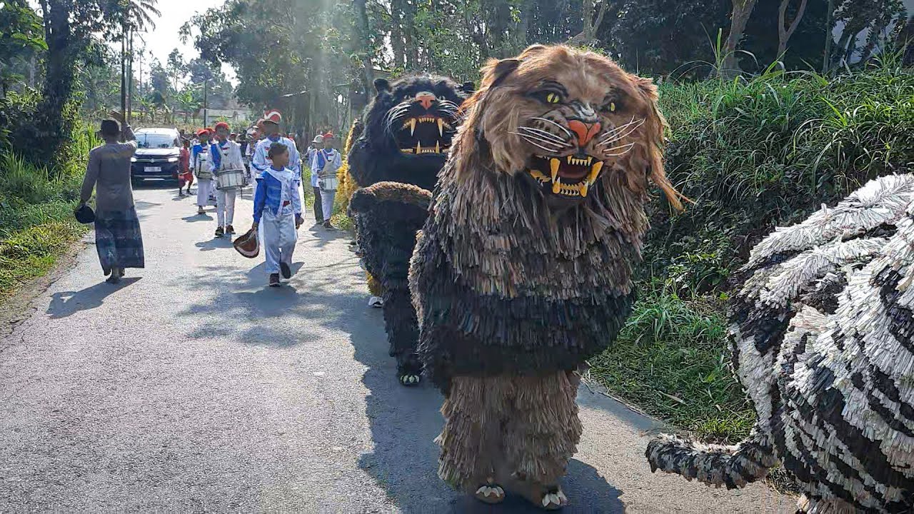 MACAN JAVA SINGO RAUNG CILIK BARONG CAN MACNANAN DI UNDANG ACARA ...