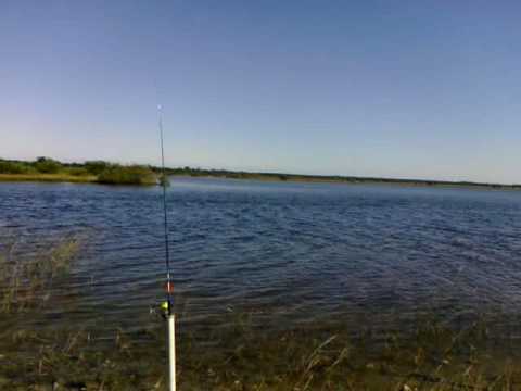 Fishing At Princess Place Preserve - YouTube