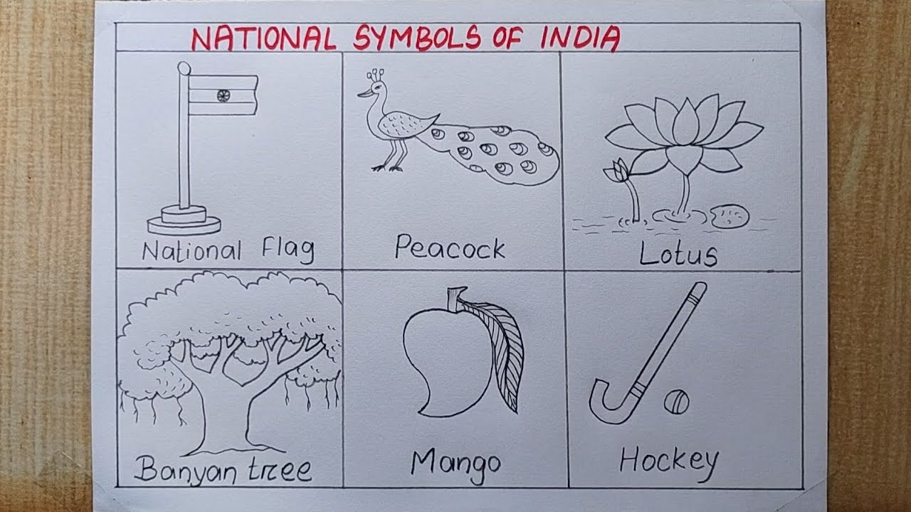 National Symbols of India Drawing easy| How to draw National Symbols of ...