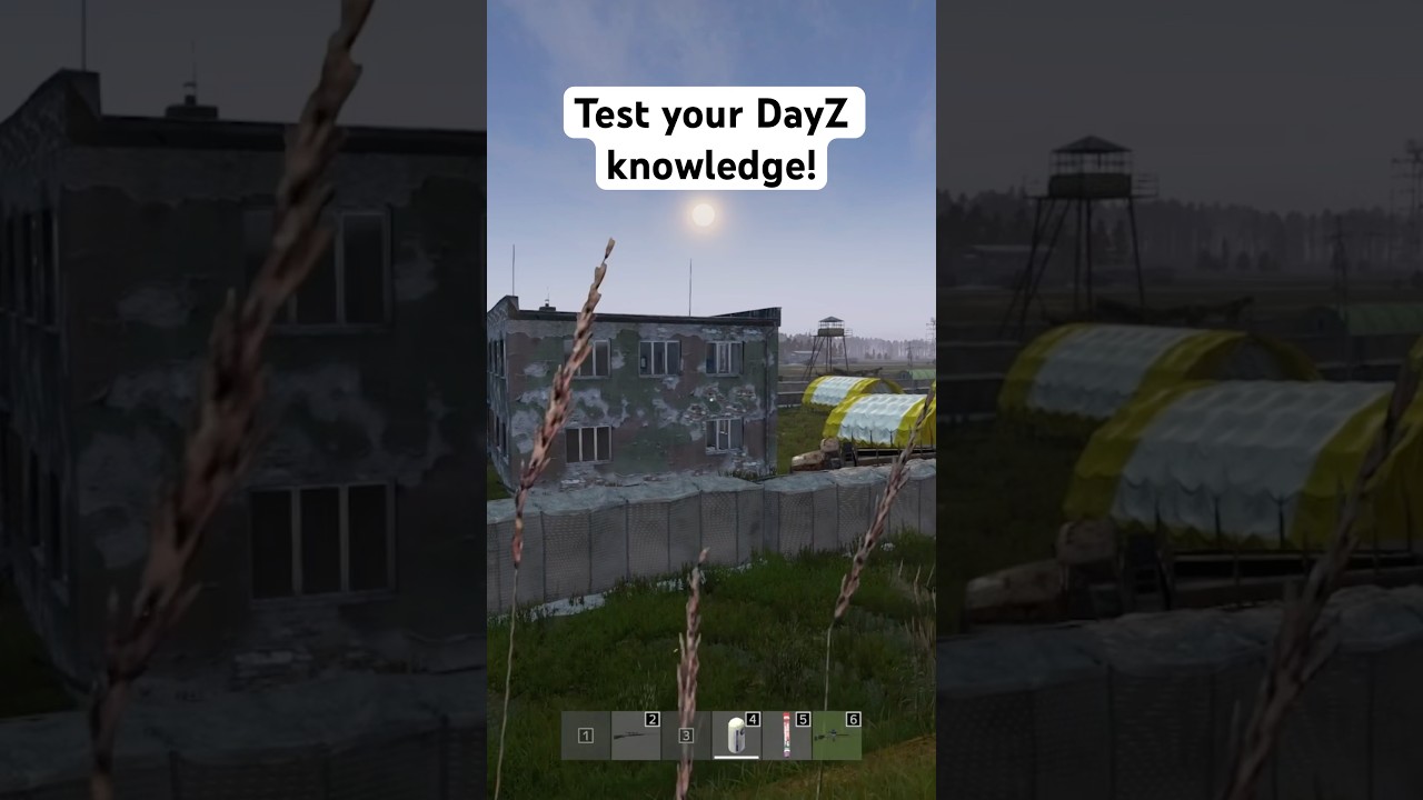 Test your DayZ knowledge! #dayz #riddle #trivia - YouTube