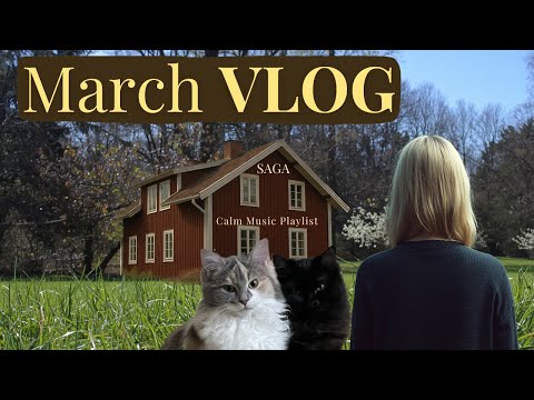 Lovely Week With Me And My Cats In The Countryside Of Sweden 🇸🇪 