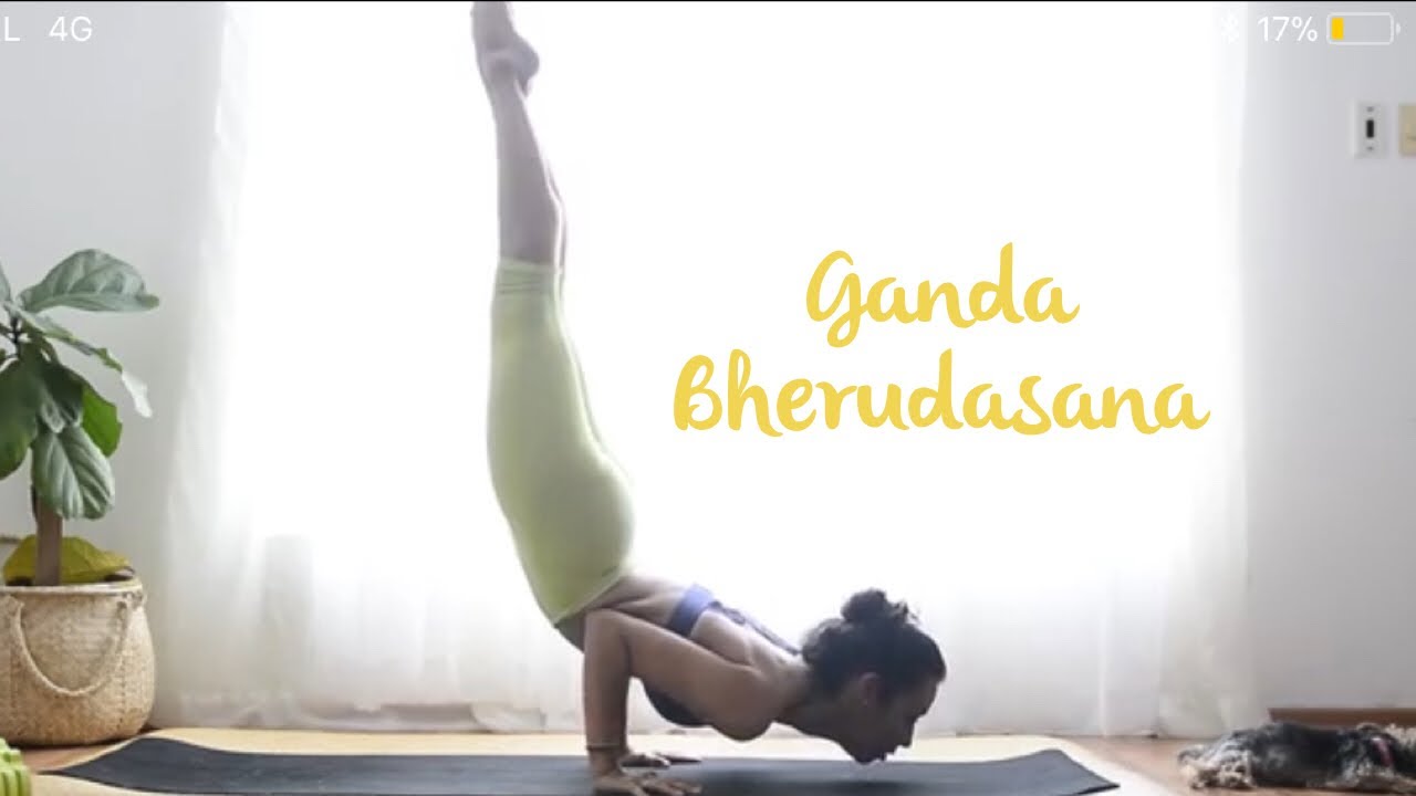 Tutorial: Cómo hacer Ganda Bherudasana , yoga en español para nivel ...