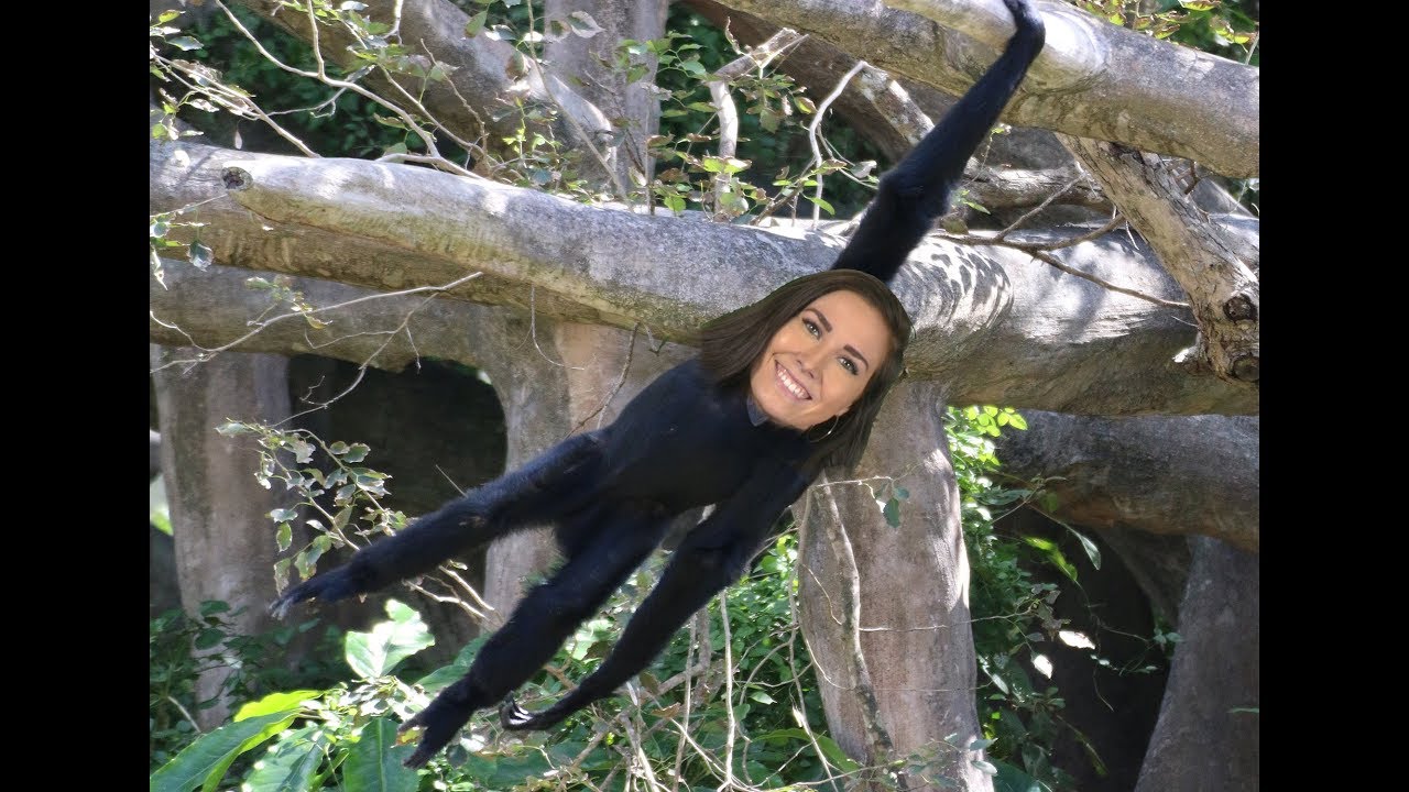 We Try Out Crisis On the Planet of the Apes VR - YouTube