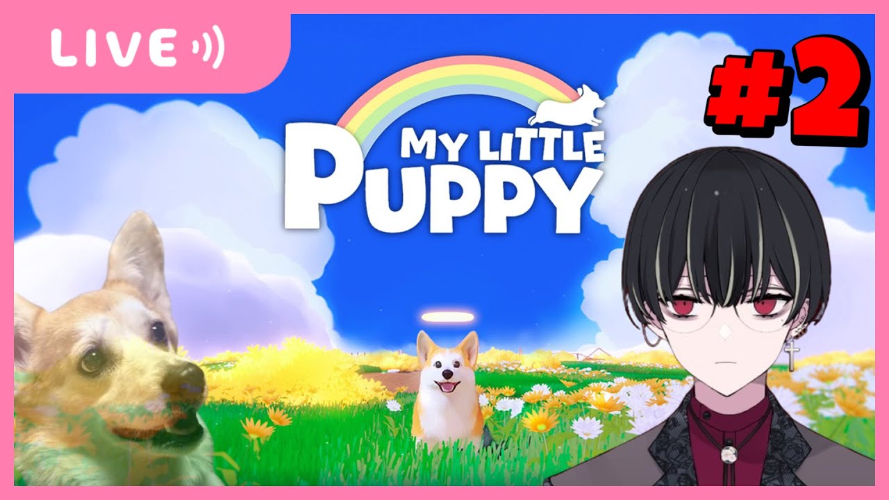 【My Little Puppy】Vtuber 病帷 コーギー飼ってるからやらないわけにはいかねえ！2 - YouTube