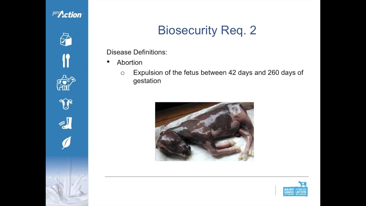 Biosecurity Risk Assessment Training for Veterinarians - YouTube