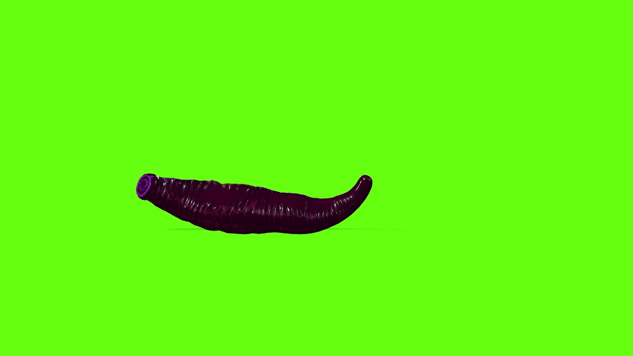 Leech Green Screen Animation - YouTube