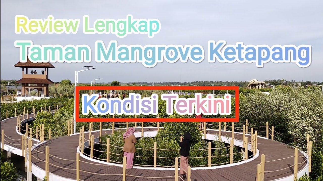 Mangrove Ketapang Mauk || Review Lengkap Tempat Wisata Mangrove di ...