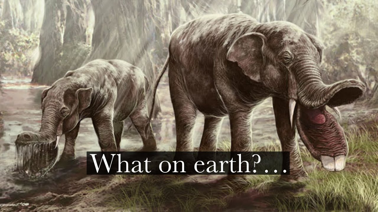 The Strangest Prehistoric Elephants to Ever Live - YouTube