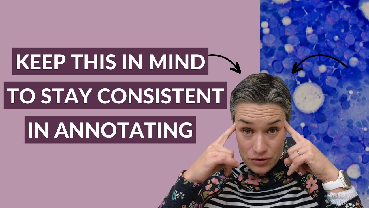 How to Annotate Consistently | Data Labeling best practices for ...