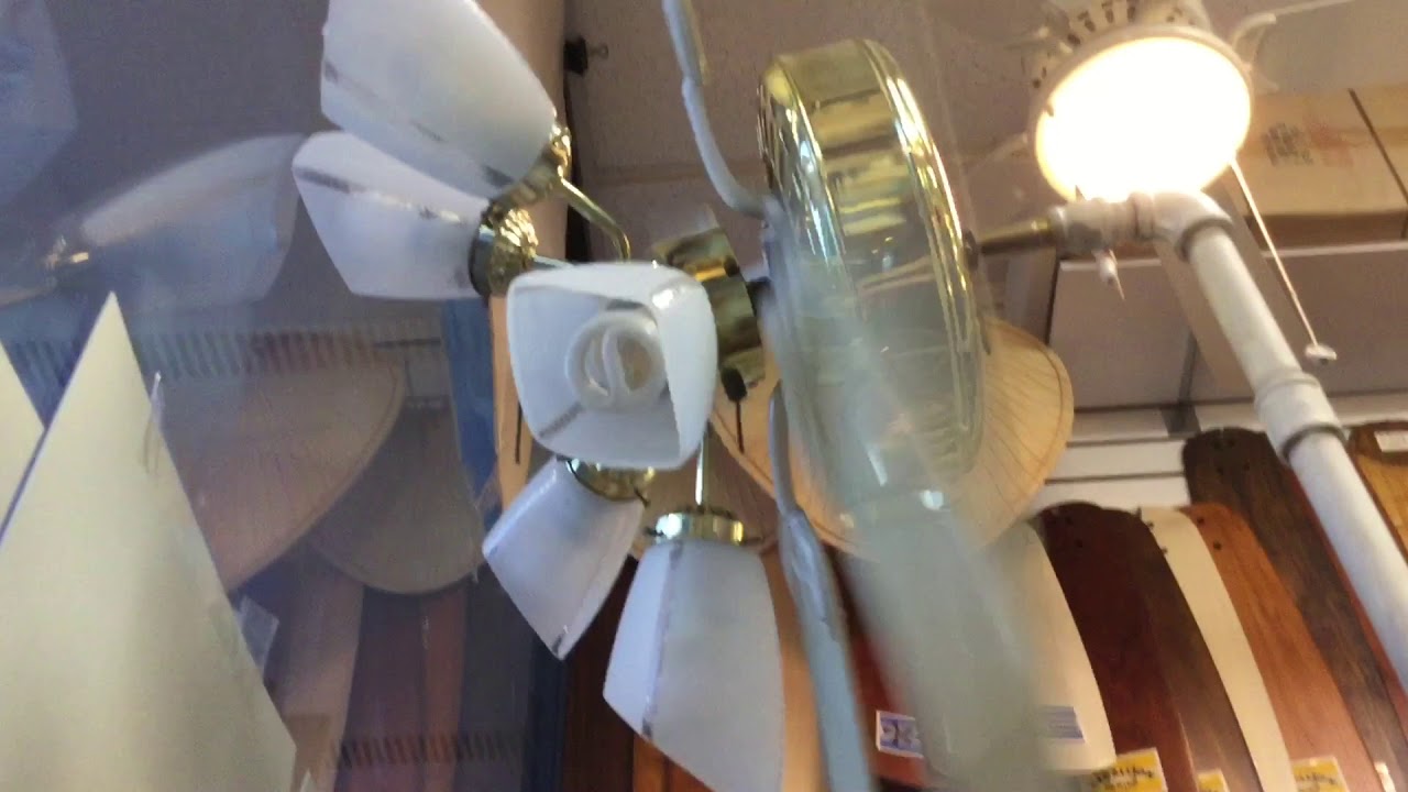 Gulf Coast Bimini Breeze Ceiling Fan at Dans Fan City - YouTube