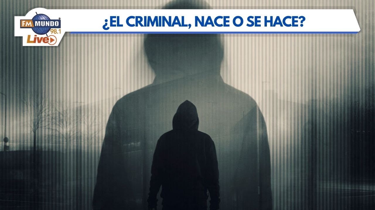 ¿El criminal nace o se hace? - Mundo Express - YouTube