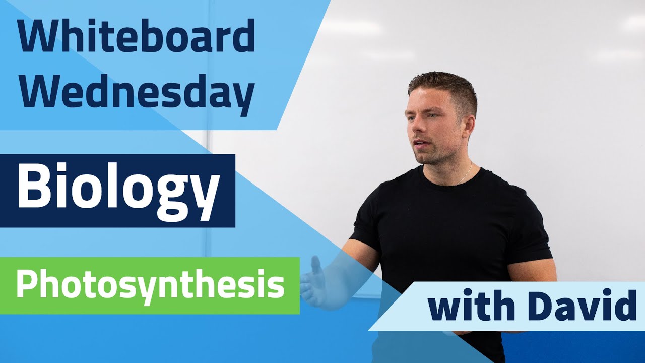 Leaving Cert Biology - Photosynthesis - YouTube