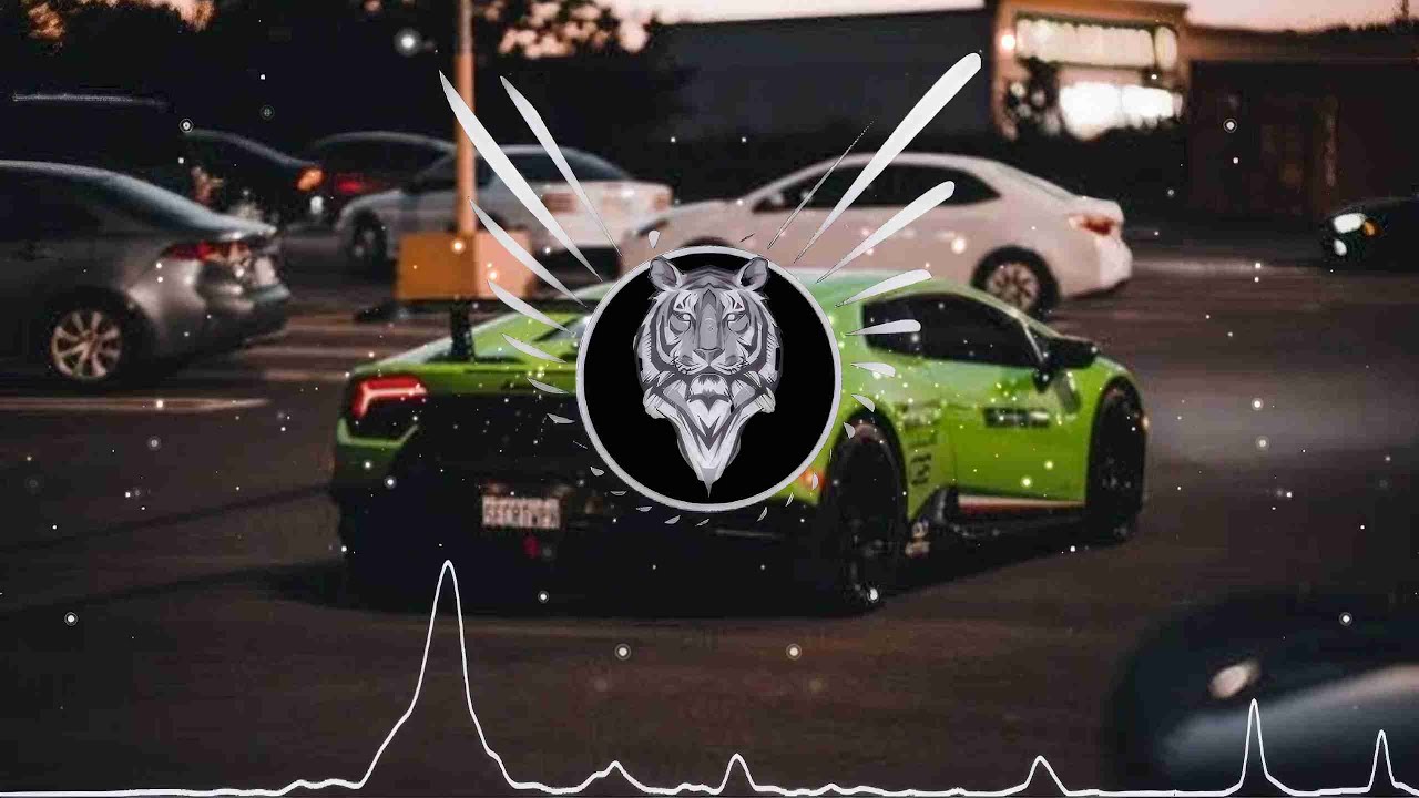 Slap Fin EDM - YouTube