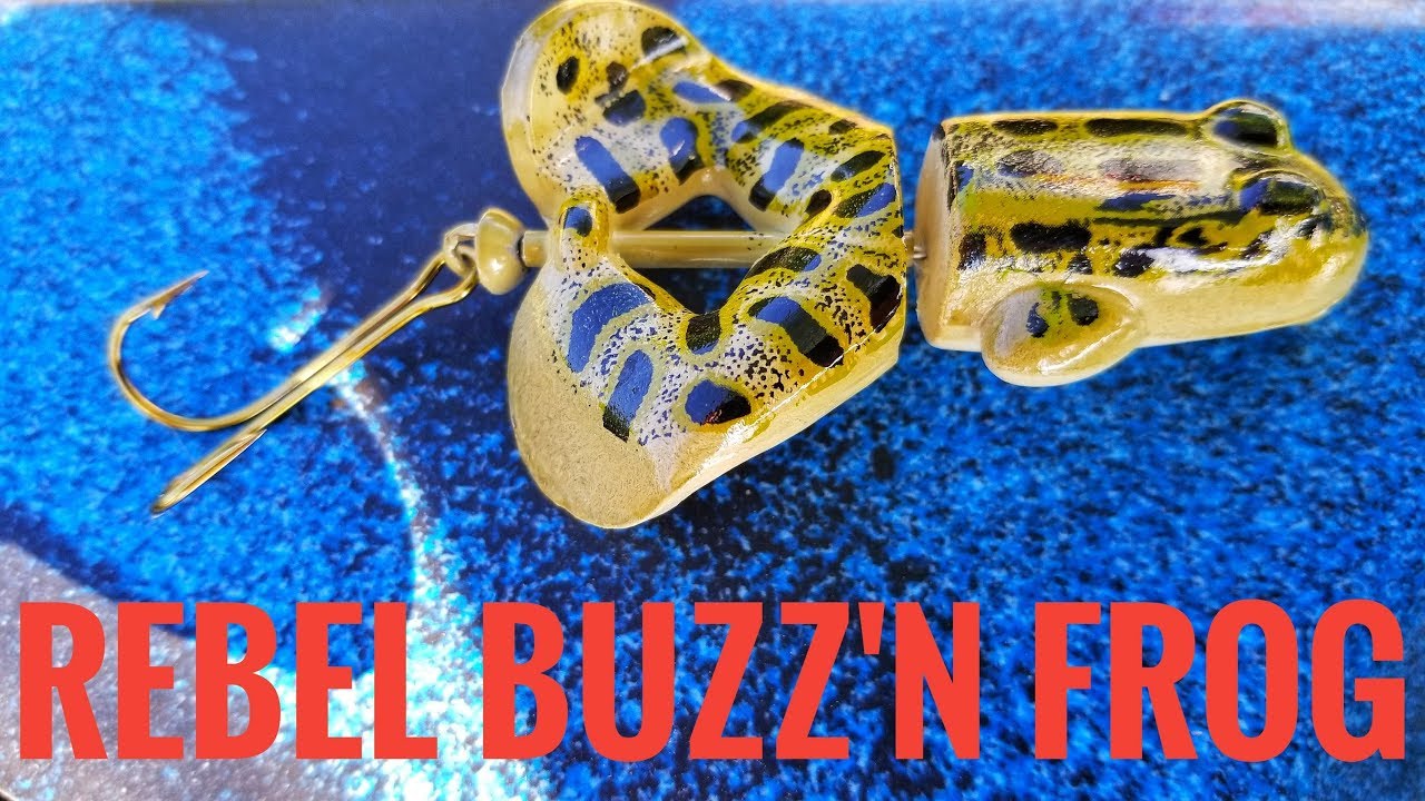 Rebel Buzz' N Frog | Lure Review (Underwater Footage) - YouTube