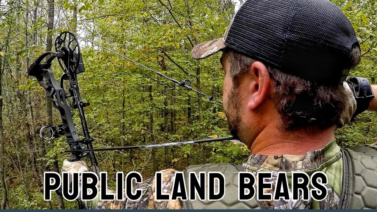 Wisconsin Public Land Bear Hunting - YouTube