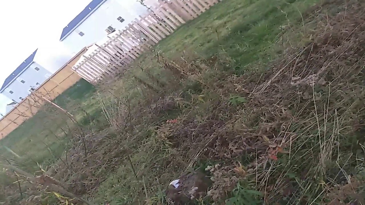 The full tour of our EPIC fort - YouTube