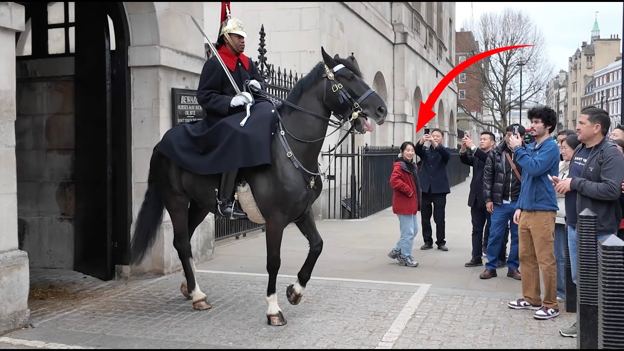 UNBELIEVABLE SCENE!! Horse Gets Agitated and She Still Wants Pictures‼️ ...