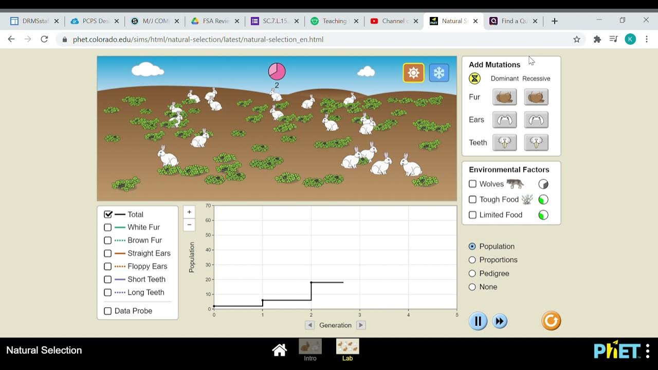 ‪Natural Selection‬ Bunnies 5 - YouTube