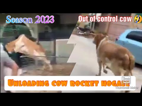 2023 ka phala bacha bagh gyaa unloading ka bde 😂 | ShoqeenoKaShoq ...