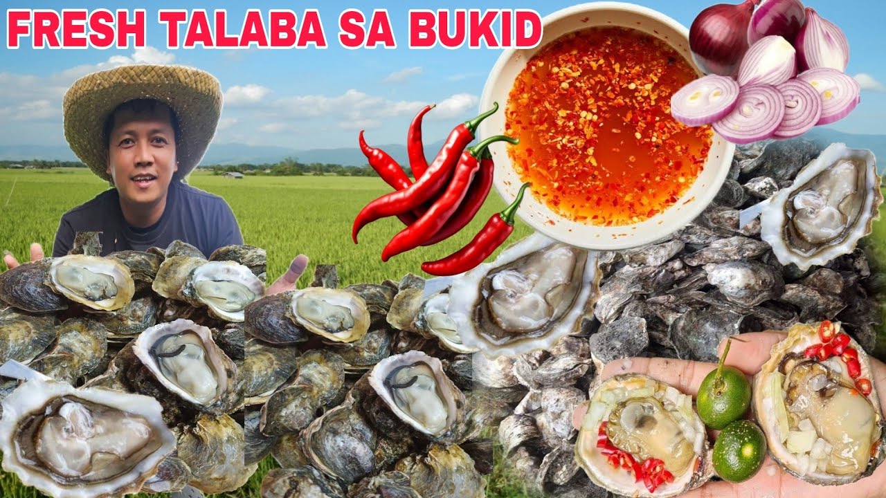 Fresh Talaba bagong kuha sa Dagat...Mukbang ng buong Pamilya First-time ...