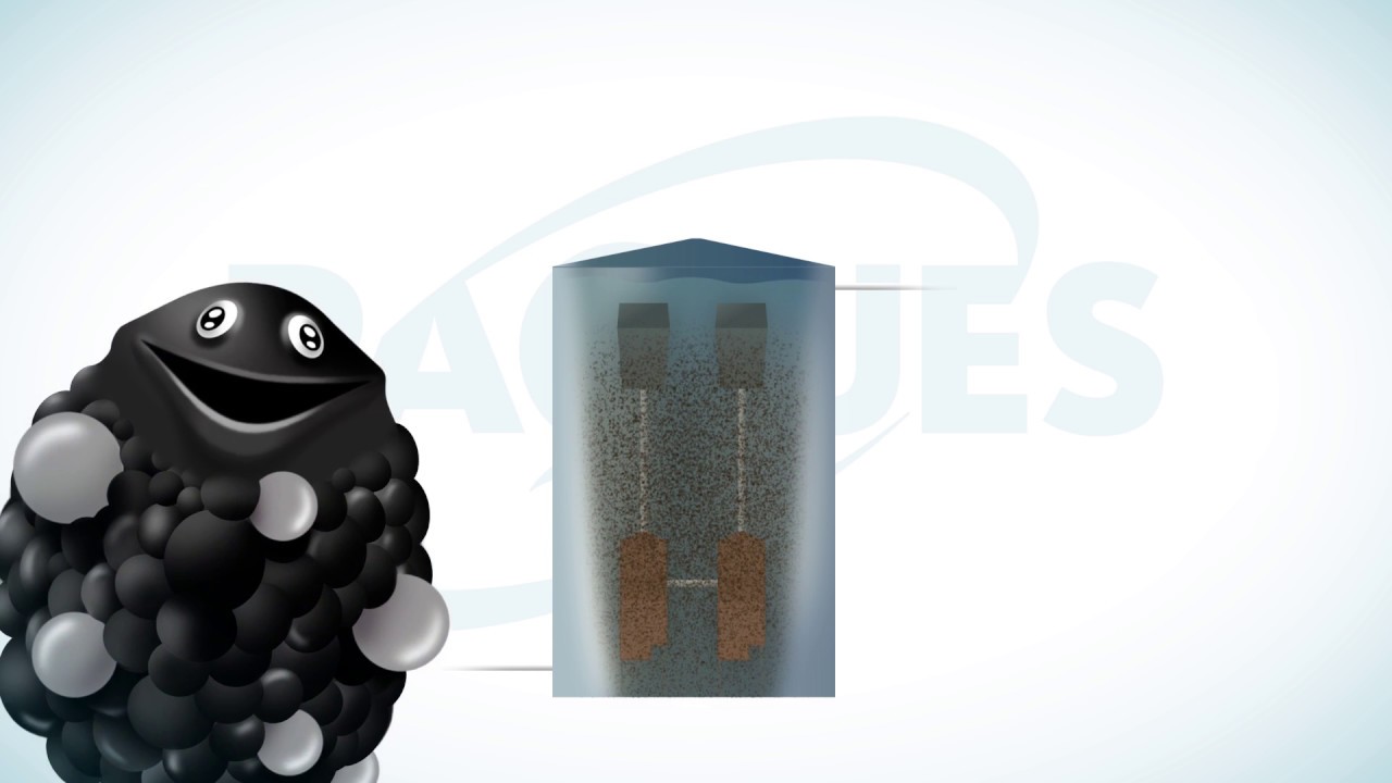 Paques BIOPAQ ICX actualización de los reactores anaeróbicos en español - YouTube