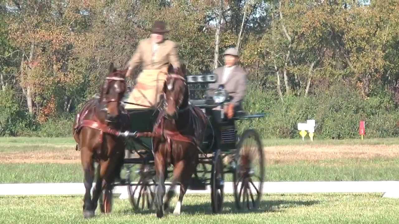 Chet Halka Dressage Garden State CDE 2013 - YouTube