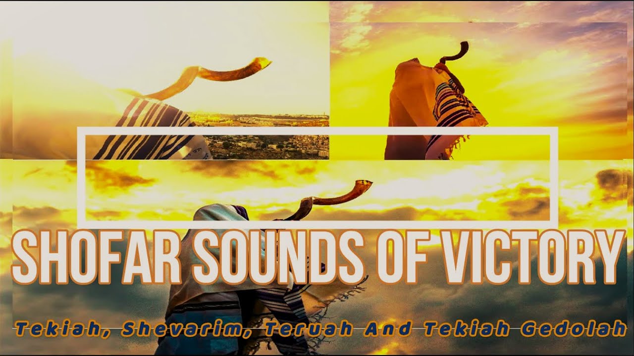 MORE SHOFAR Victory Sounds: Powerful 'Heavenly call' SoundS of the ...