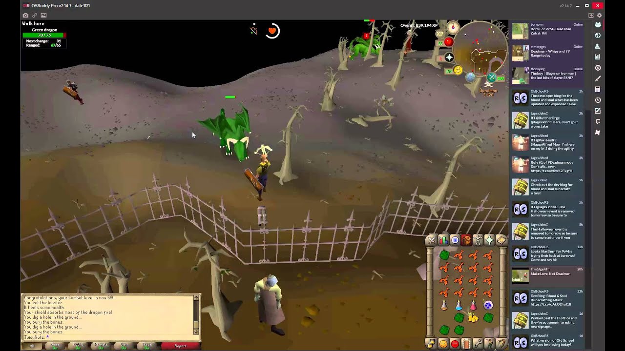 OSRS DEADMAN - GREEN DRAGON KILLING PART 2 SAFE - YouTube
