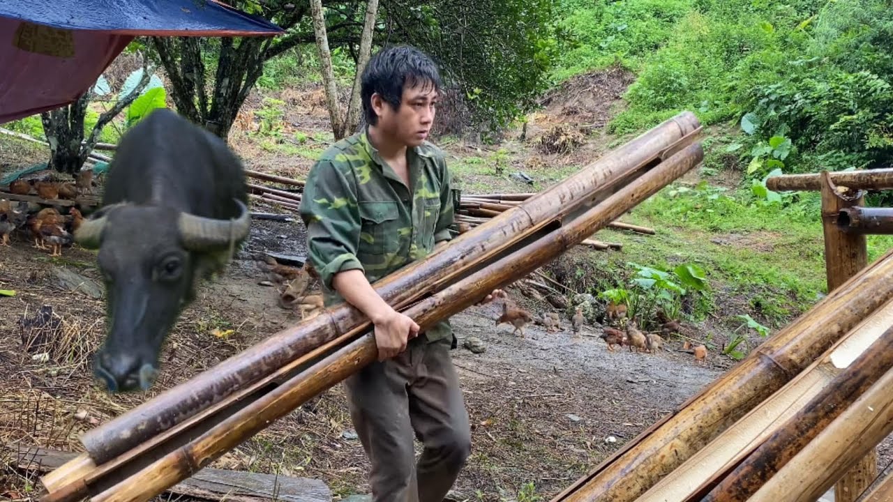 FULL VIDEO 100 days alone building a farm in the forest - YouTube
