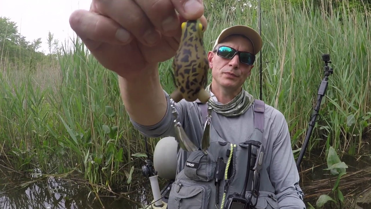 Frog Tuning 101 - YouTube