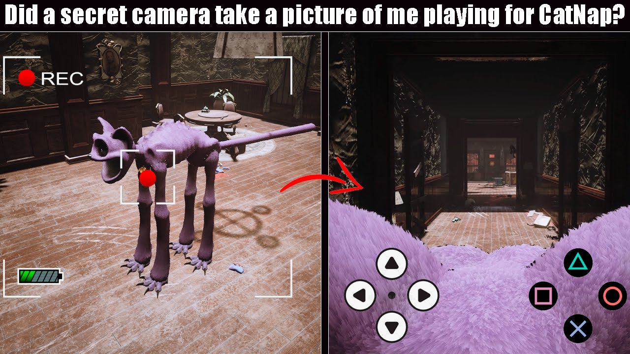 Did a Secret Camera take a picture of Me playing CatNap? (Poppy ...