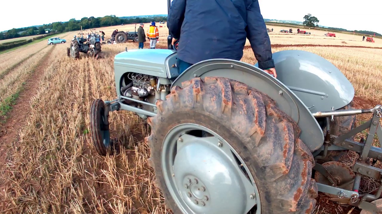 1954 Ferguson TEF-20 2.1 Litre 4-Cyl Diesel Tractor (28HP) With Plough ...