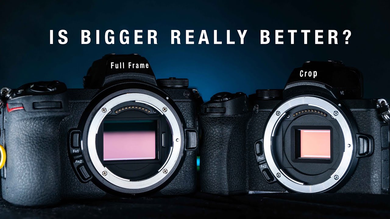 Full Frame VS Crop Sensor for Wildlife Photography - YouTube