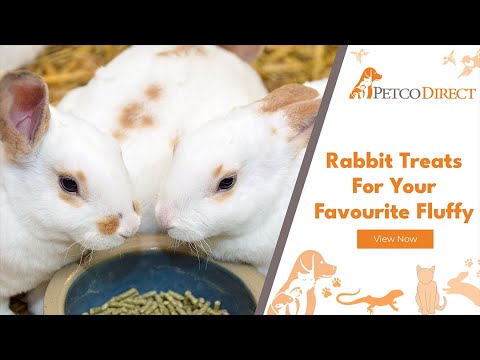 Rabbit Treats | Petco Direct | Massive Range of Pet Supplies Instore ...