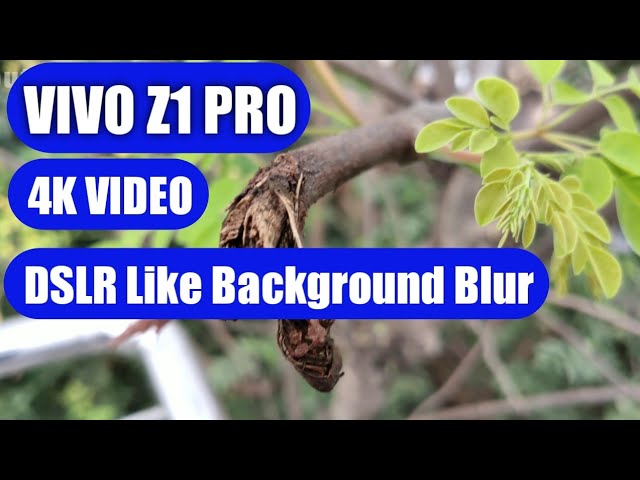 Vivo Z1 pro 4k Video recording Sample.