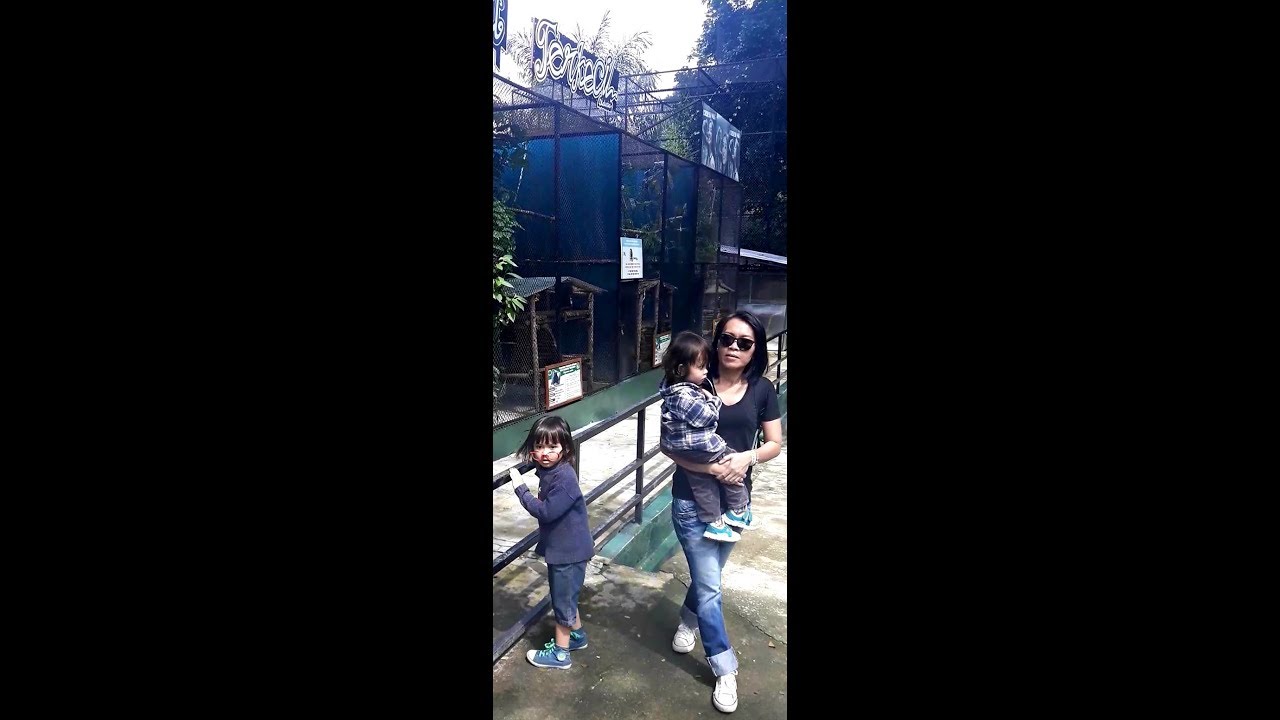 Taman Hewan Pematang Siantar _ Siantar Zoo _ - YouTube