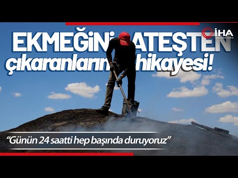 Diyarbakır Sıcağında Alın Teri Döken İşçiler, Ateş Karşısında Mangal Kömürü Üretiyor