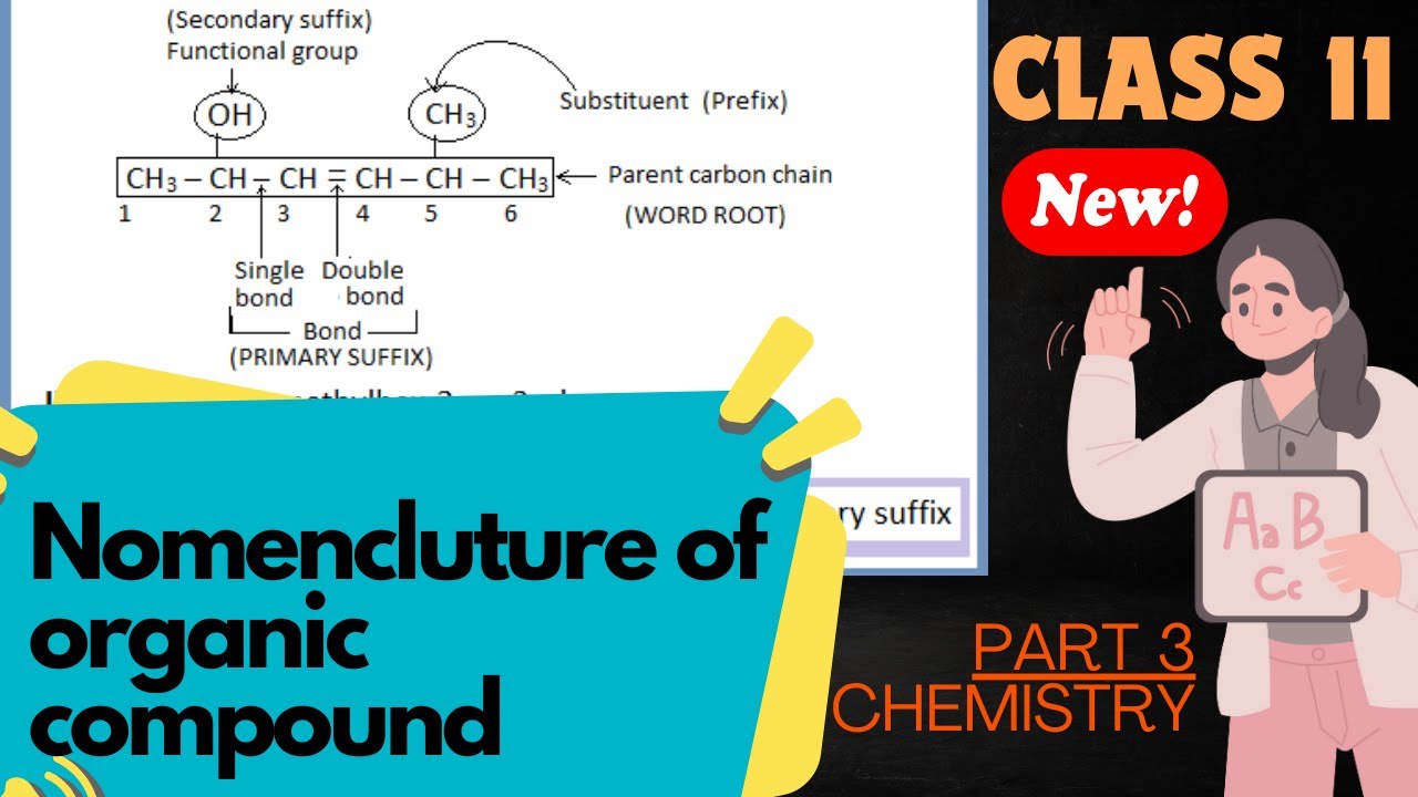 Nomenclature of Organic Compounds Class 11 Chemistry | IUPAC ...