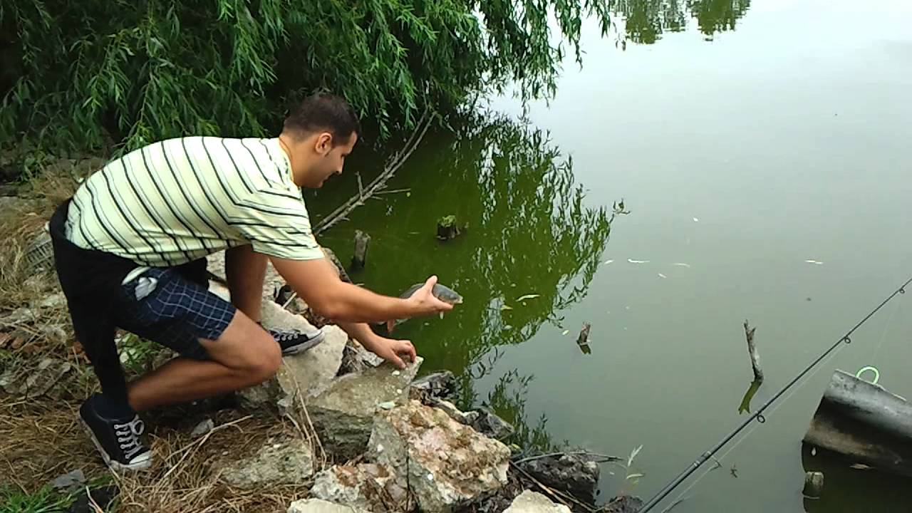 Eliberare ciortan pe balta Gruiu Kojak (CL) - YouTube