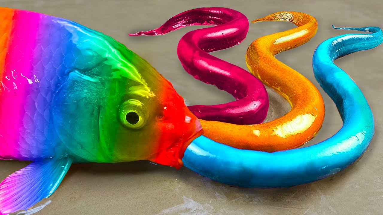 Koi fish na nangingitlog mula sa kanilang mga bibig at nakikipaglaban ...