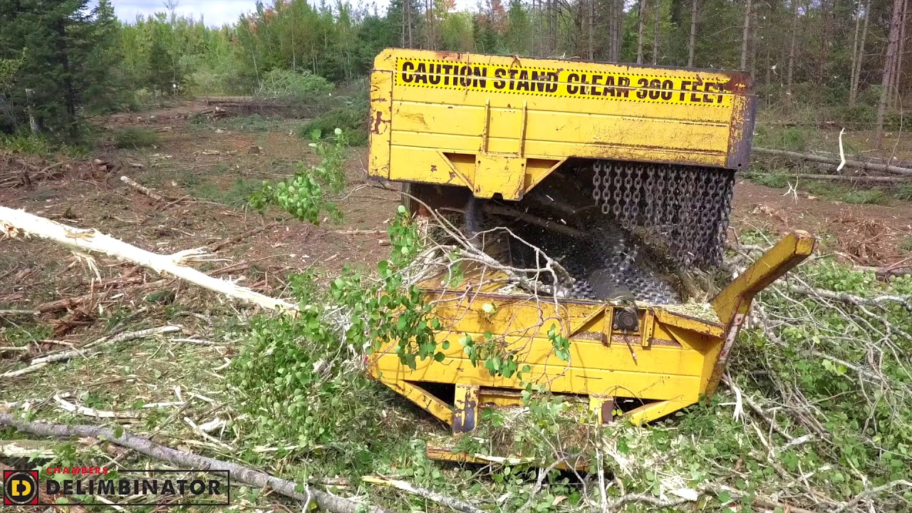 Delimbing Aspen in Minnesota - YouTube