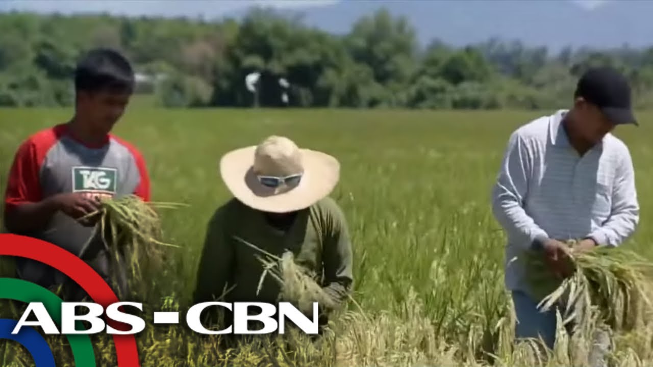 Dateline Philippines | ANC (6 October 2023) - YouTube