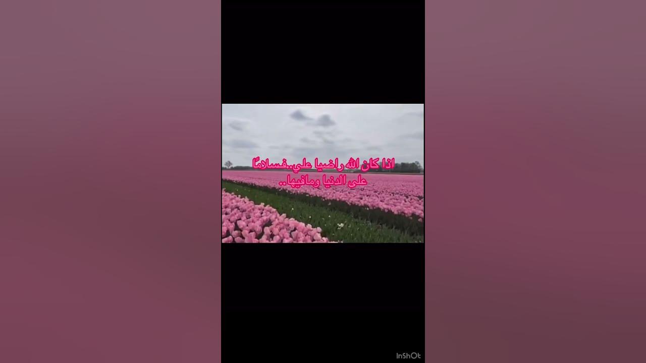 الحمدلله💞💞 #صدقة_جارية #اكسبلور #لايك #المصحف #explore #تصميمي #راحة ...